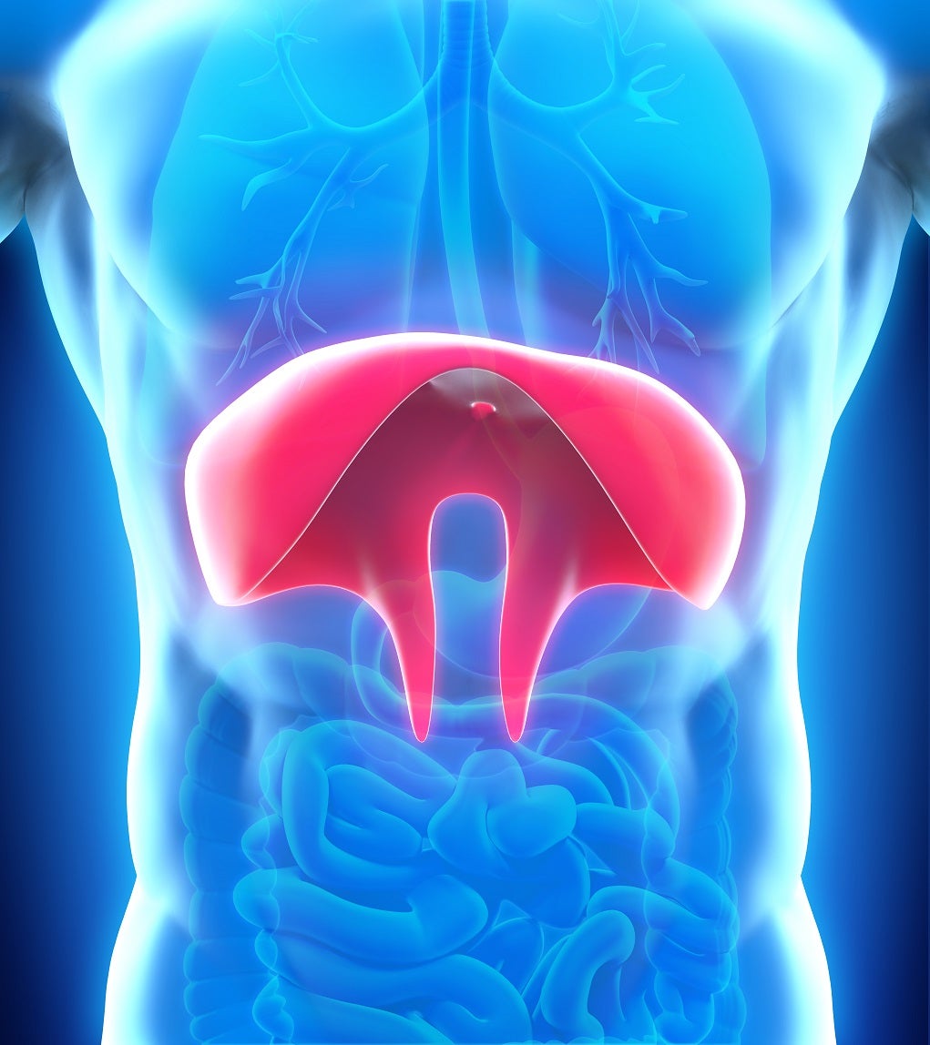How It Works: The Diaphragm