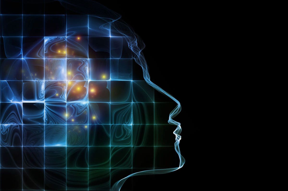 Transform Your Brain, Transform Your Life