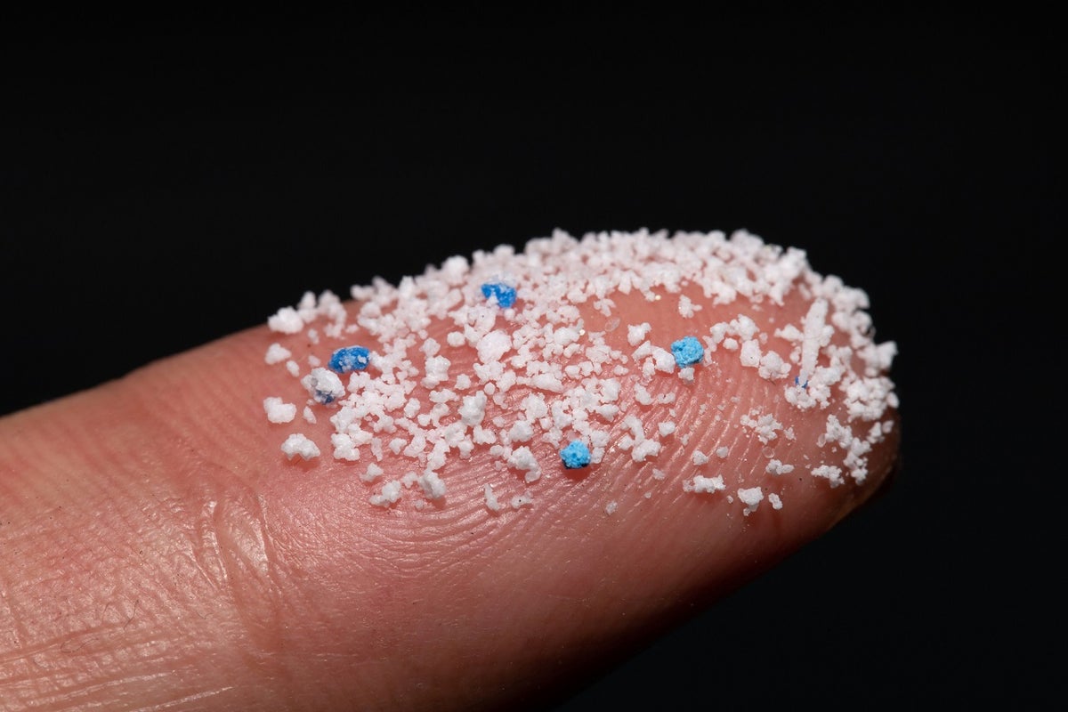 Microplastics Are Everywhere—Including Our Bodies