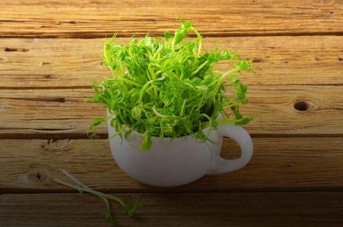 Why You Should Eat Your Sprouts