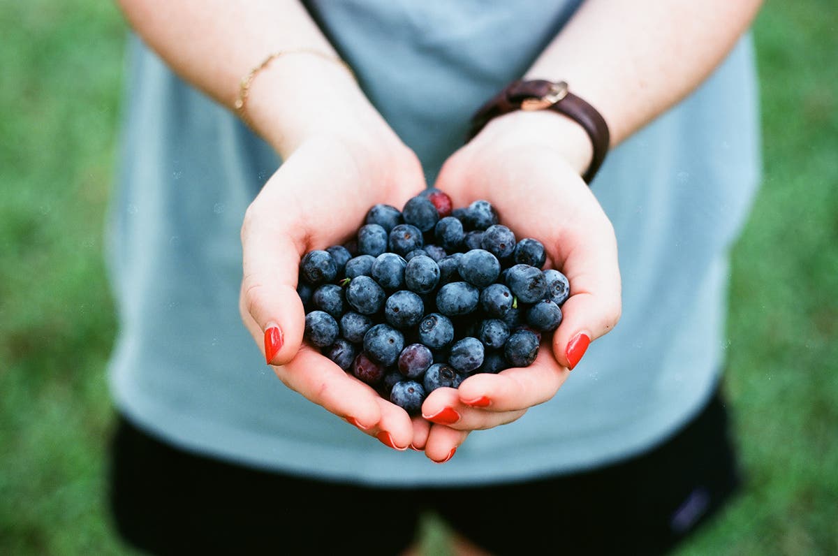 Could Blueberries be the Future of Cervical Cancer Therapy?