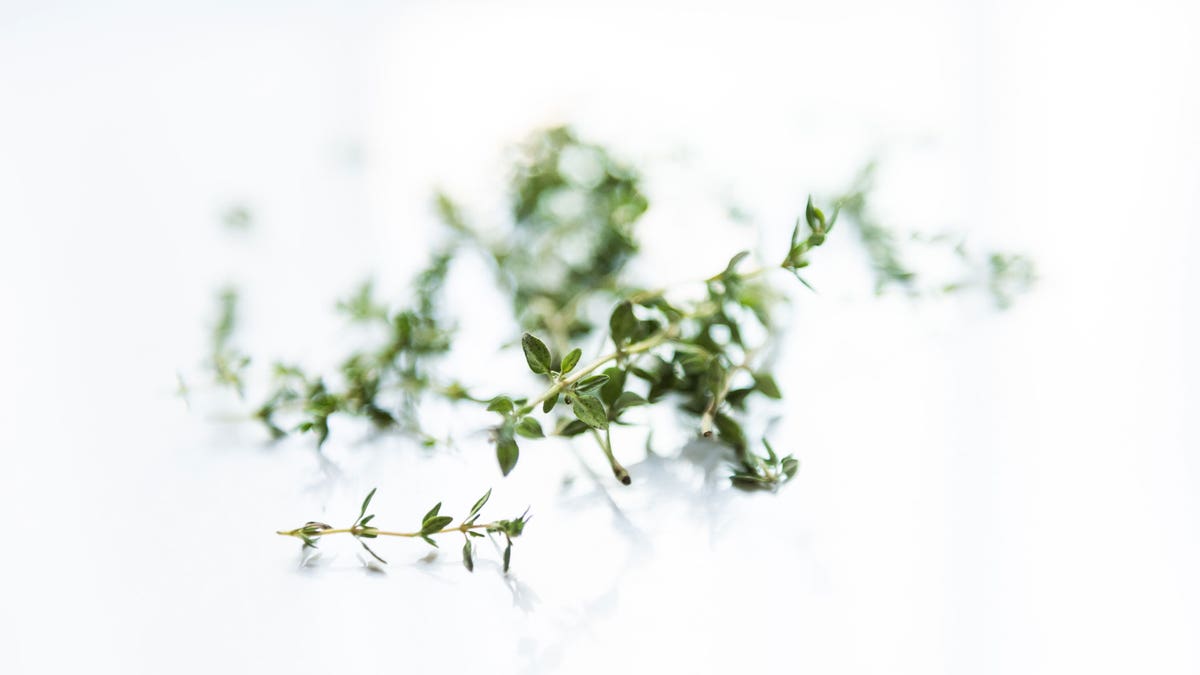 Getting in Mint Condition—6 Tips for Instant Herb Gardens